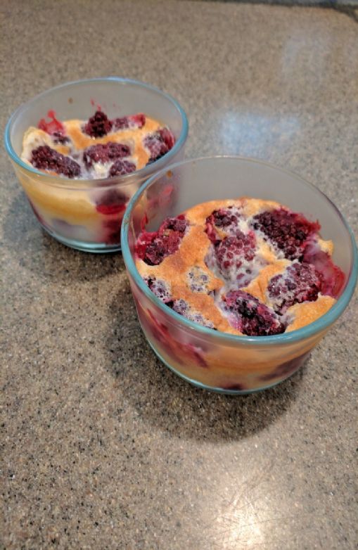 Blackberry Pudding Cake Recipe | SparkRecipes