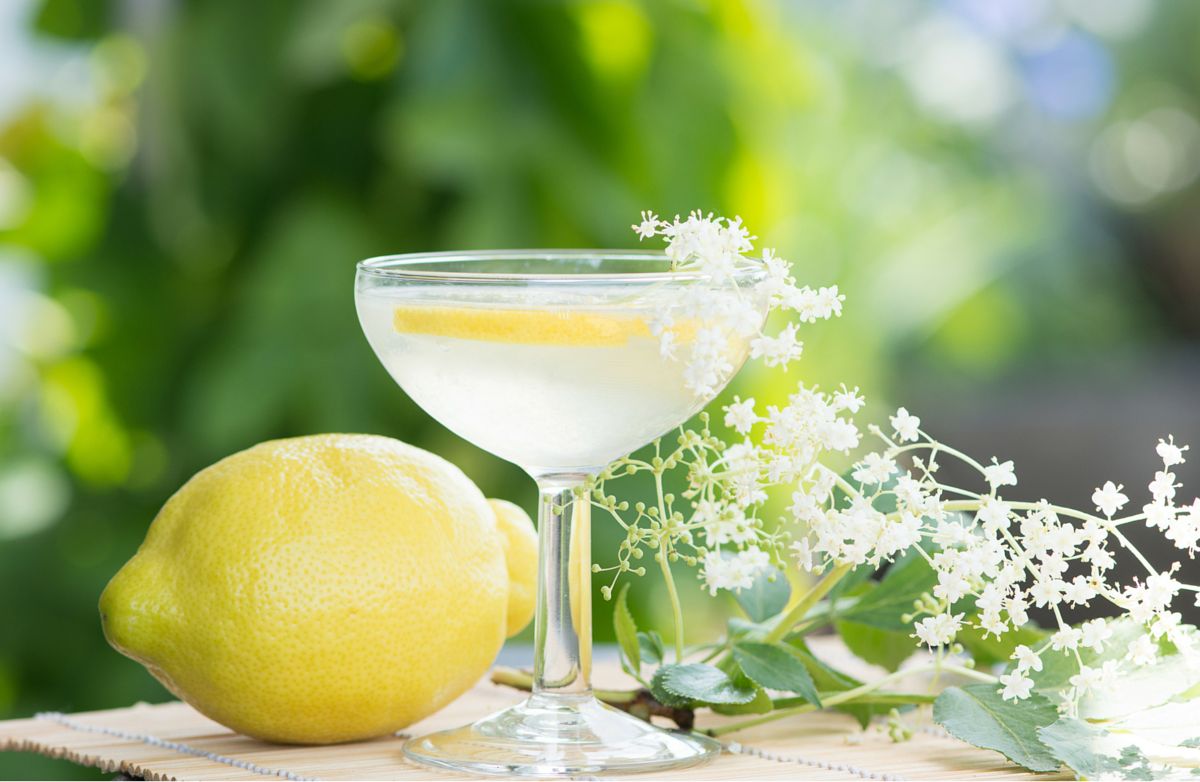 Cold Duck Punch Recipe | SparkRecipes