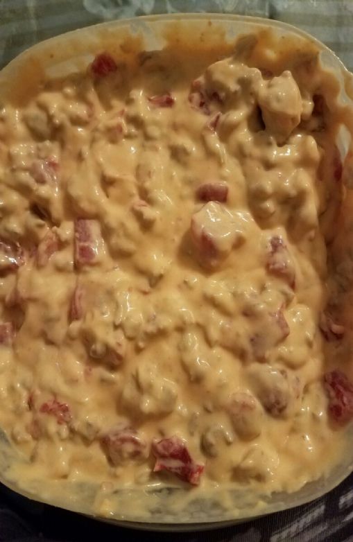 Rotel Turkey Dip(rotel chunky,velveeta,ground turkey) Recipe | SparkRecipes