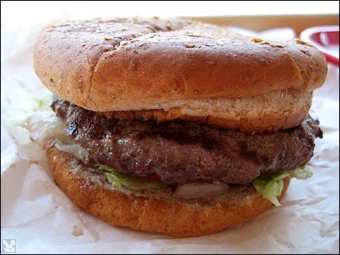 Buffalo Burger Recipe | SparkRecipes