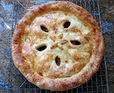 Tex-Mex Meat Pie Recipe | SparkRecipes